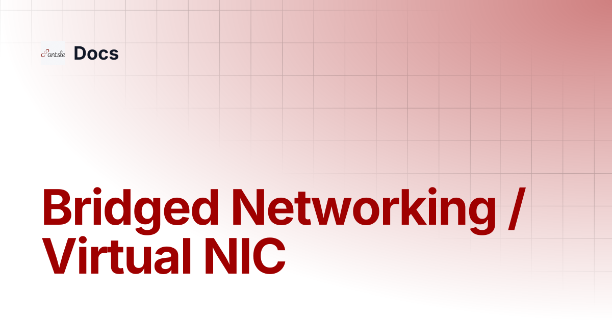 Bridged Networking / Virtual NIC | Docs